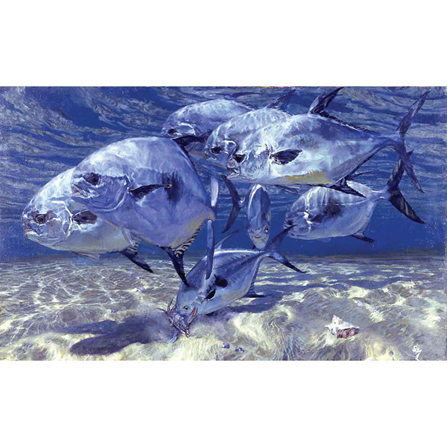 Art – Deutsche Optik